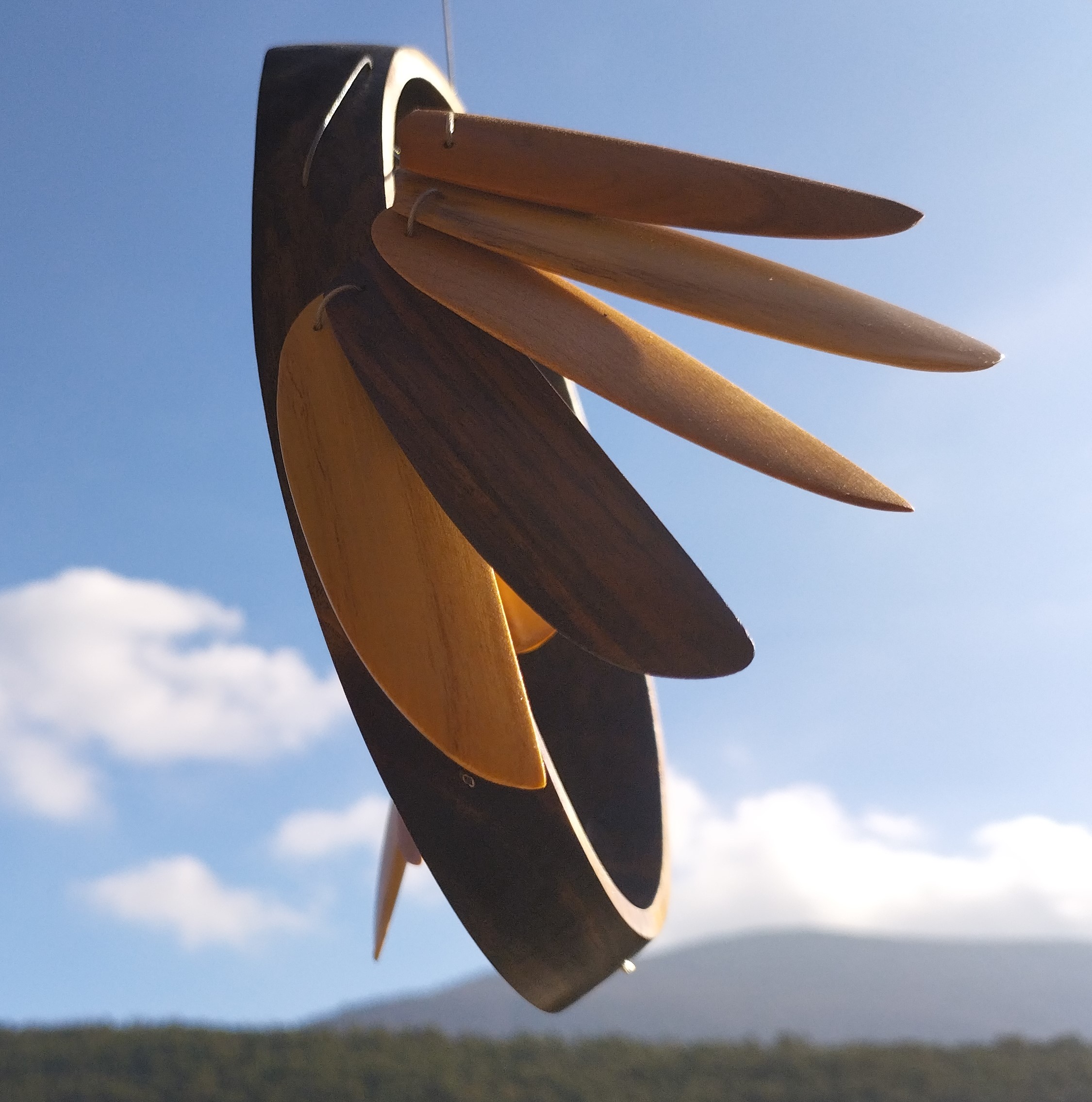 Nouveaux Nuages - Géronime